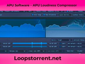 Loopstorrnet - Alternative Audios Plugin Source