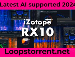 Loopstorrnet - Alternative Audios Plugin Source