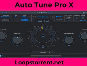 Loopstorrnet - Alternative Audios Plugin Source