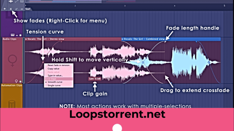 Image-Line - FL Studio 21 Looptorrent.net