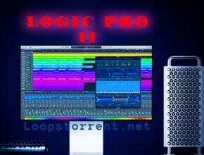 Loopstorrnet - Alternative Audios Plugin Source