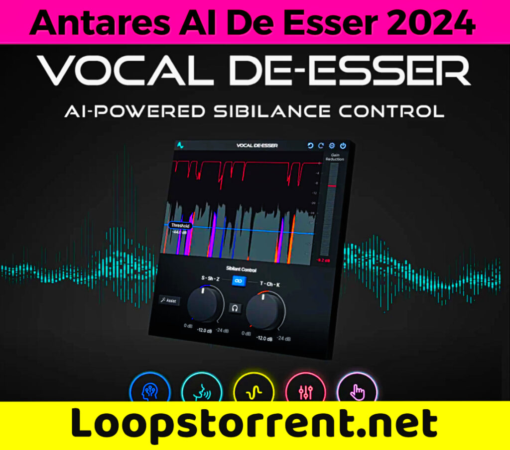 Loopstorrnet - Alternative Audios Plugin Source