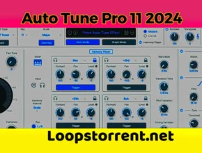 Loopstorrnet - Alternative Audios Plugin Source
